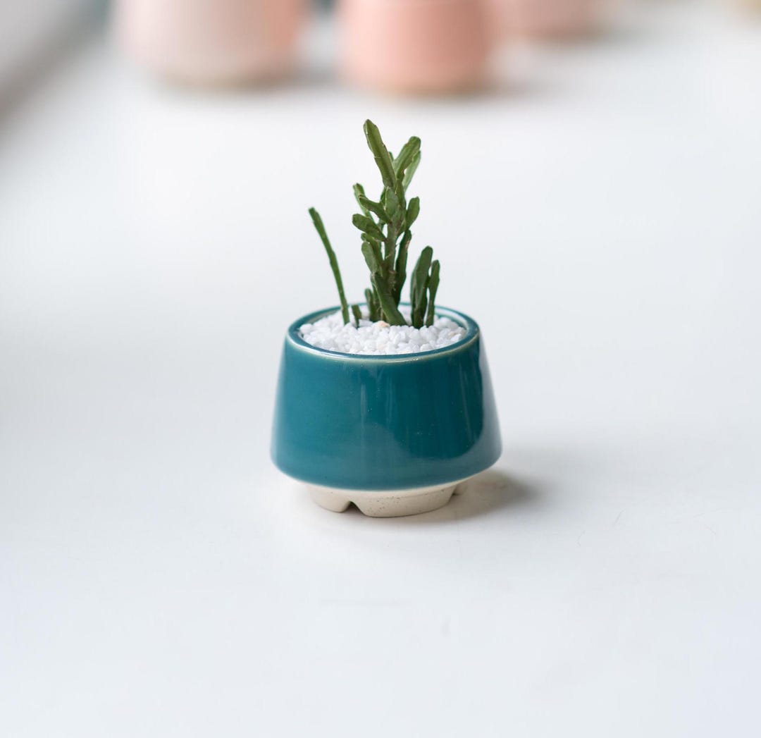 Turquoise Pots for Succulent Round Ceramic Planter for Cactus or ...