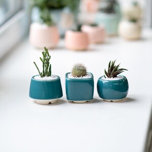 Succulent Pot Turquoise Round Ceramic Planter for Cactus or Succulent ...