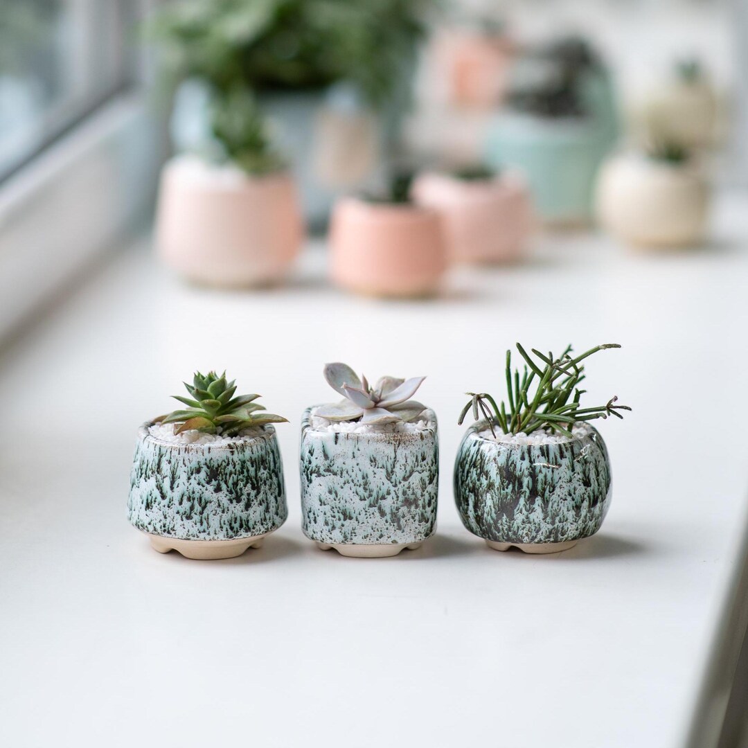 Speckled Pesto Ceramic Round, Small Pot or Succulent, Ceramic Planter ...