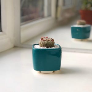 Succulent Pot Turquoise Round Ceramic Planter for Cactus or Succulent ...