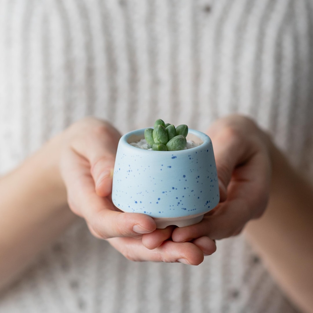 Light Blue Speckled Ceramic Planter, Matte Mini Succulent Pot, Small ...