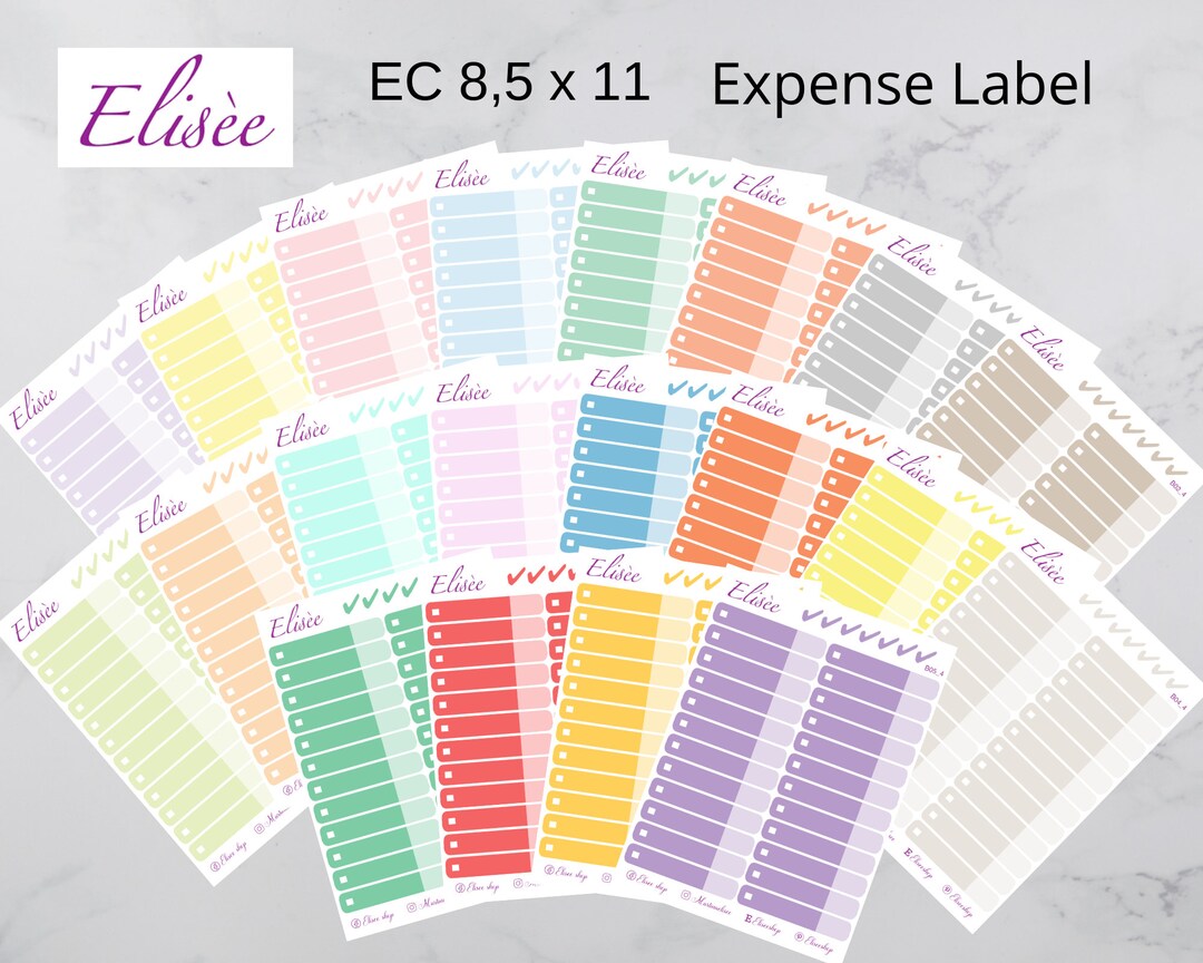 Expense Tracker EC 8,5x11 Sticker Planner Sticker Erin Condren Sticker ...