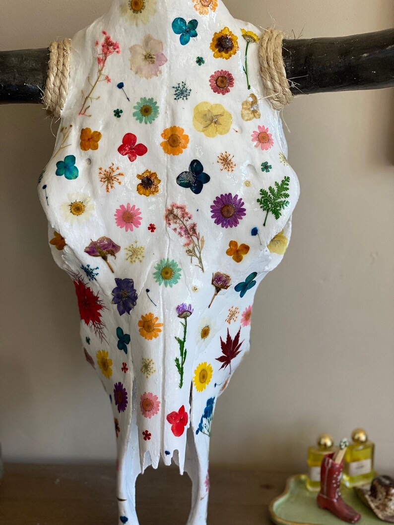 Pressed Flower Cow Skull - Etsy