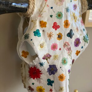 Pressed Flower Cow Skull - Etsy
