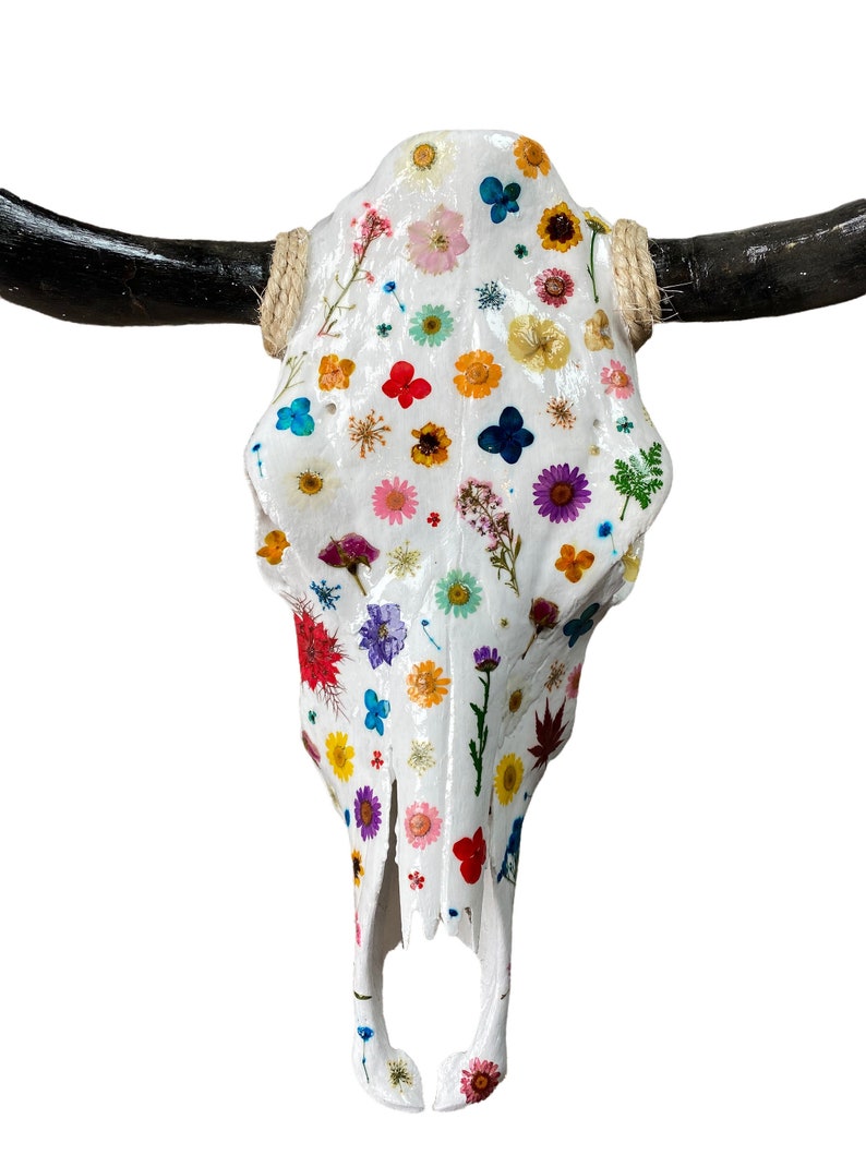 Pressed Flower Cow Skull - Etsy
