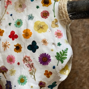 Pressed Flower Cow Skull - Etsy