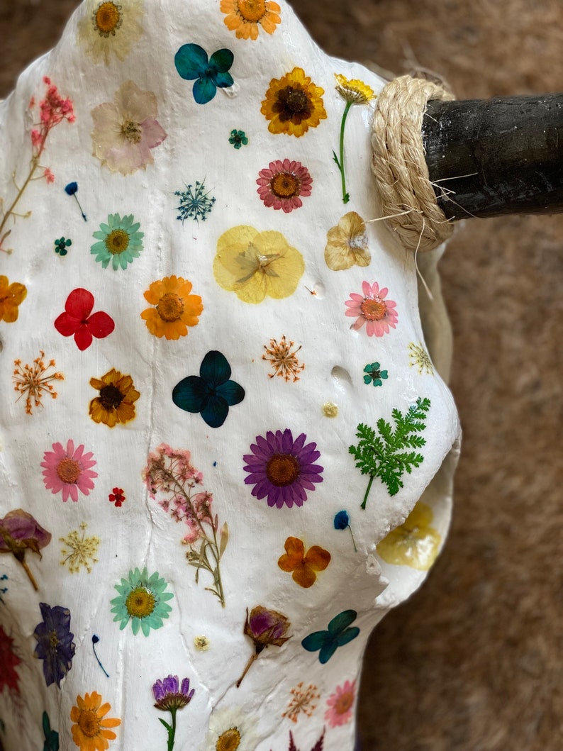 Pressed Flower Cow Skull - Etsy