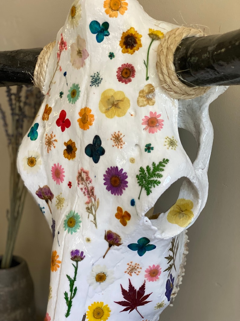 Pressed Flower Cow Skull - Etsy