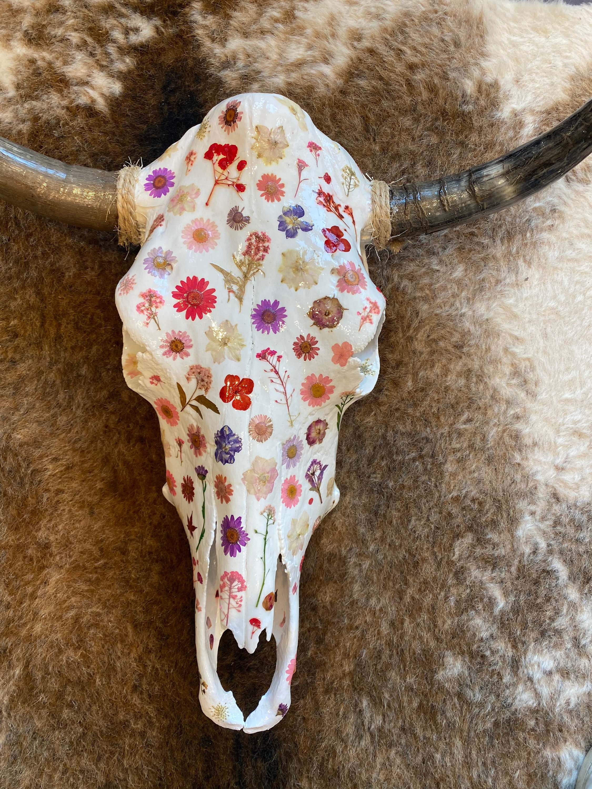 Pressed Flower Cow Skull: Pink Beauty - Etsy