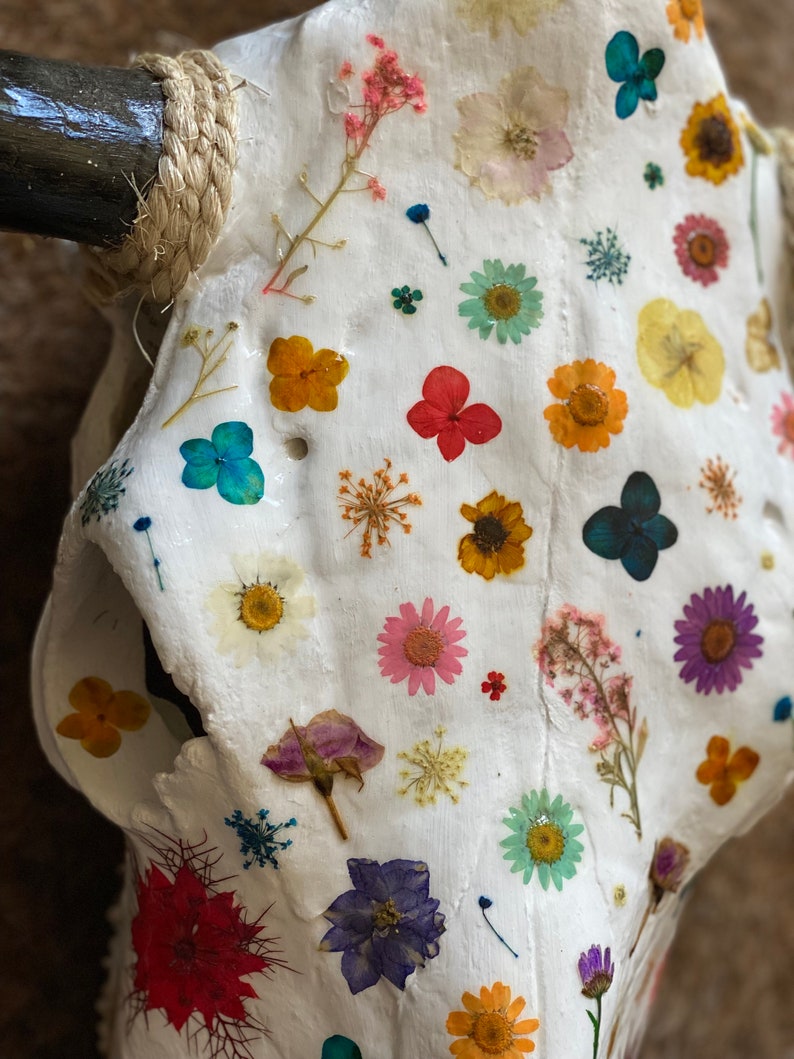 Pressed Flower Cow Skull - Etsy