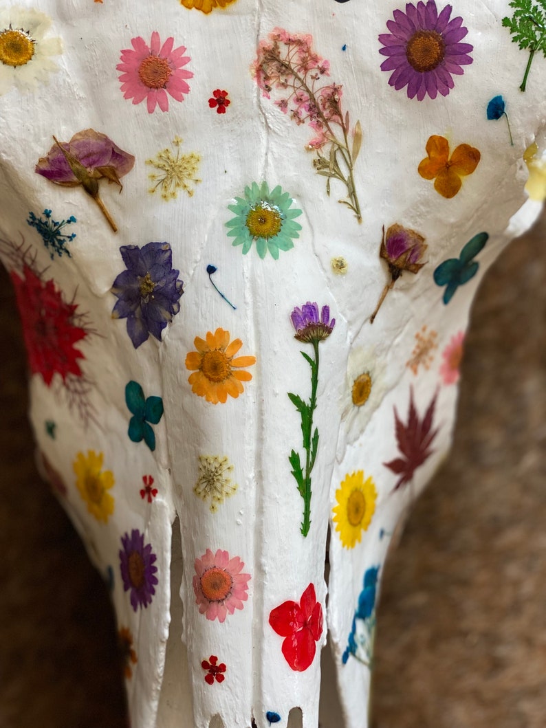 Pressed Flower Cow Skull - Etsy