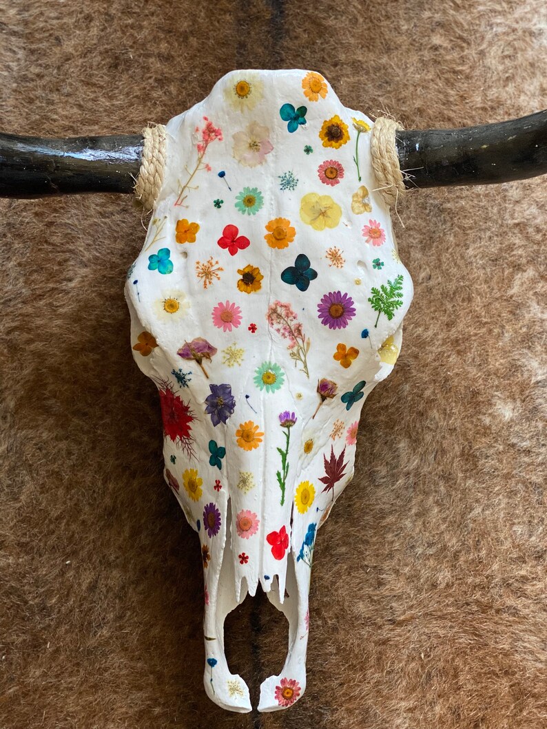 Pressed Flower Cow Skull - Etsy