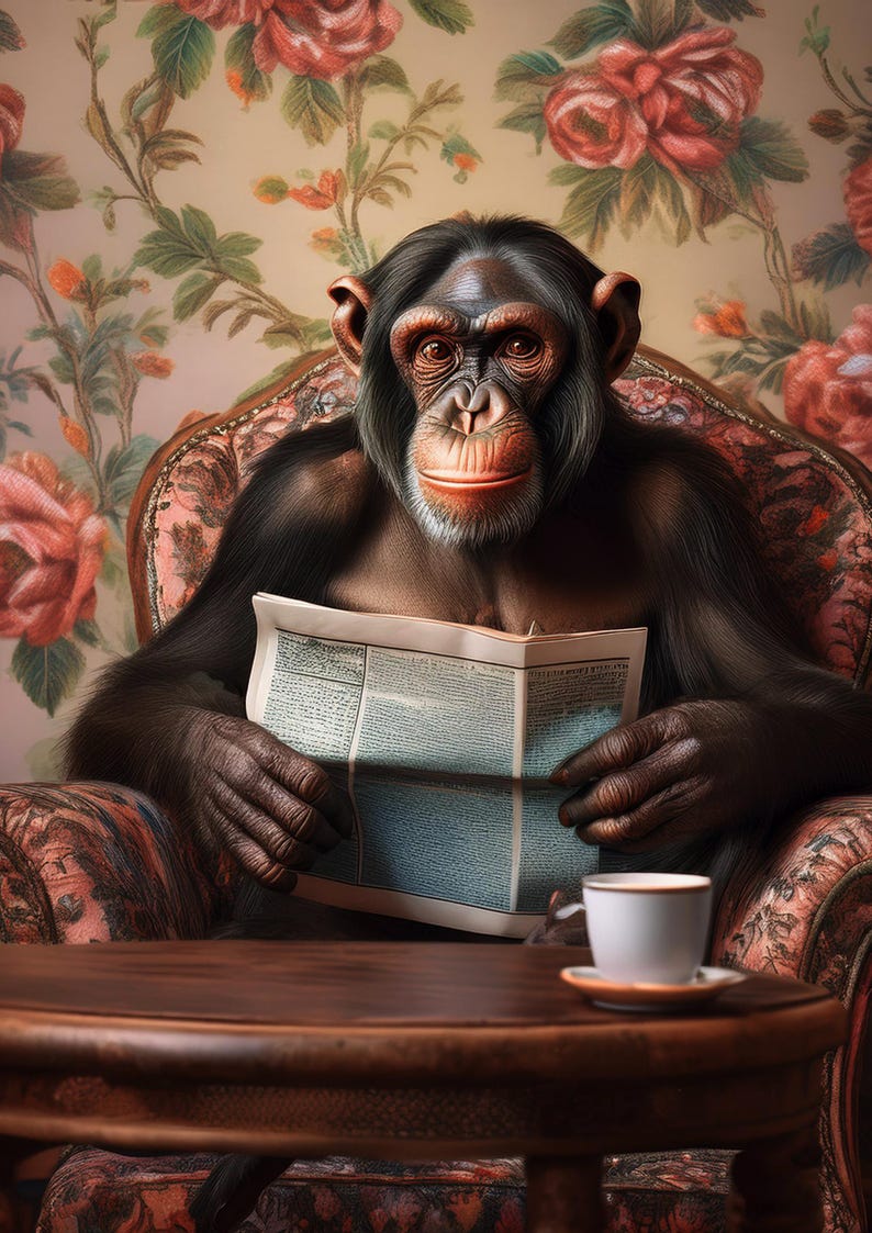 Learned Chimp A3 Chimpanzee Reading a Newspaper Drinking a Cup of Tea ...