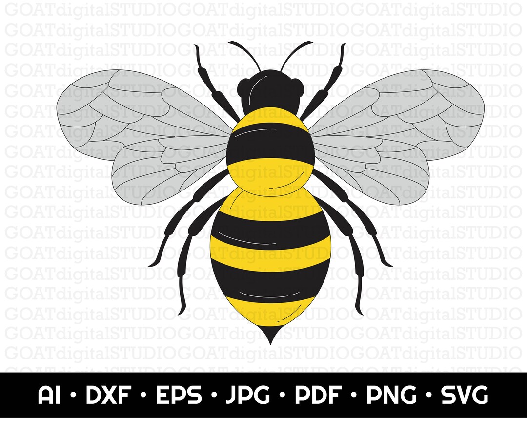 Bumblebee SVG, Bee SVG, Summer Svg, Honeybee Svg, Honey Comb Svg, Queen ...