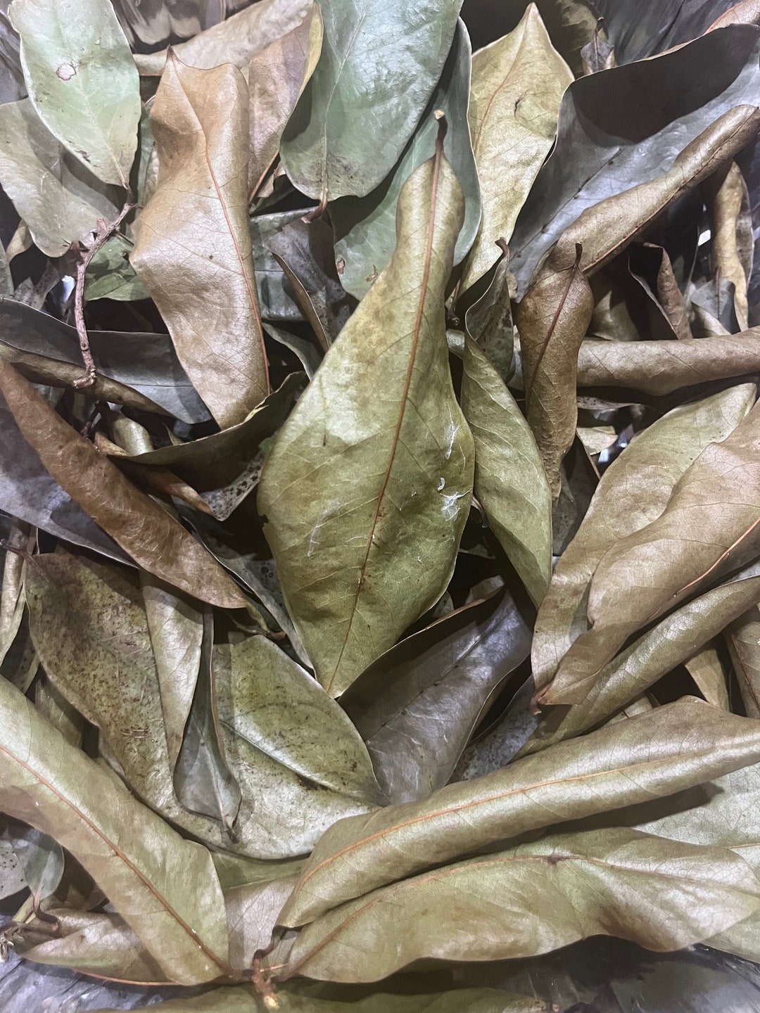 Organic Dried Soursop/graviola Leaves - Etsy