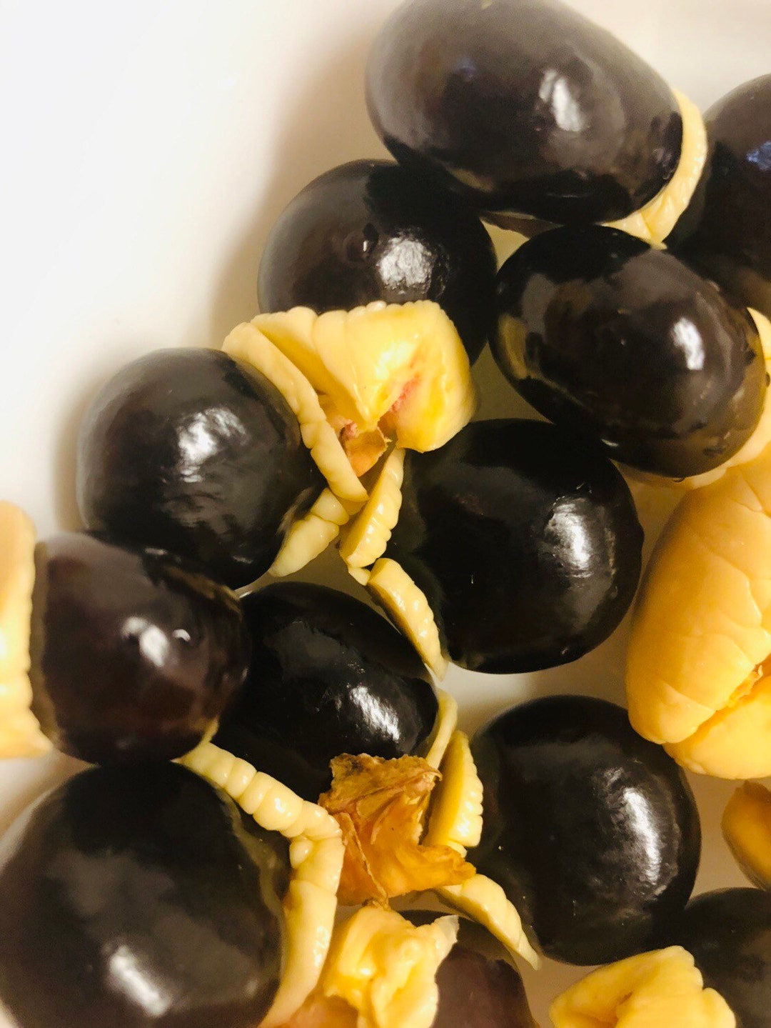 Ackee Seeds- Blighia Sapida Seeds ONLY! 5 Seeds. Grow Your Own Ackee ...