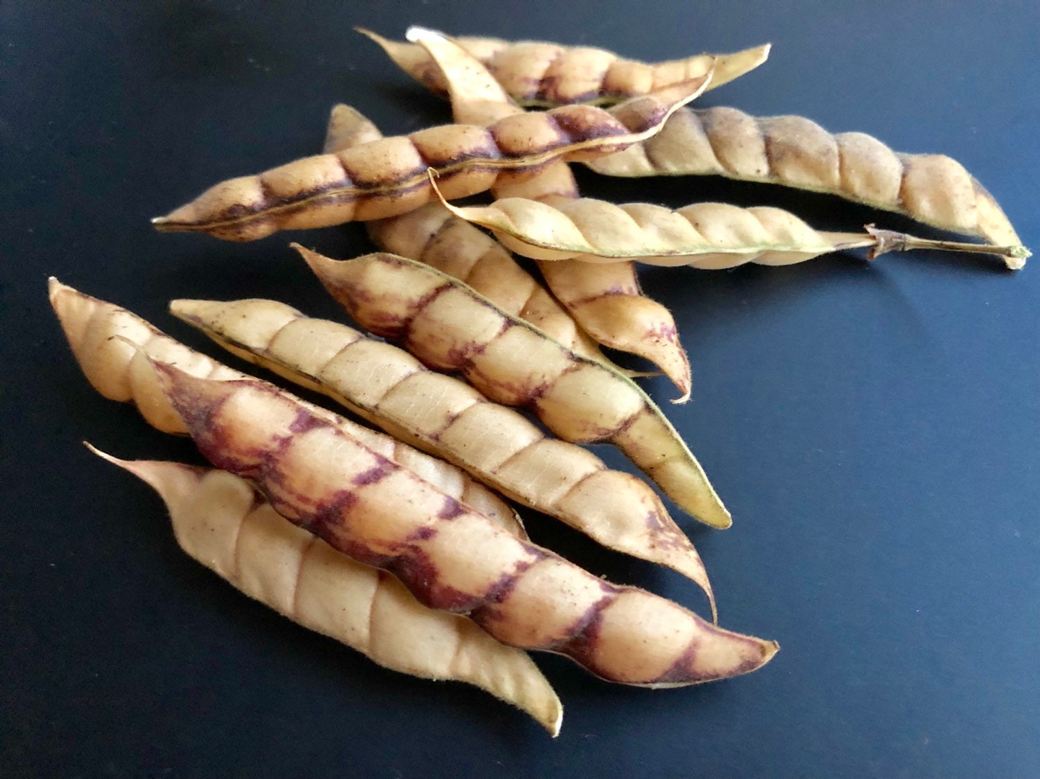 Pigeon Peas / Gungo Peas / Gandules - Dried - Etsy