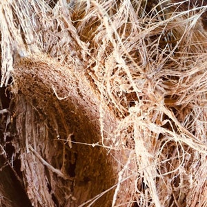 PURE Coconut Husk Fiber, Coconut Coir Organic & Unprocessed - Etsy