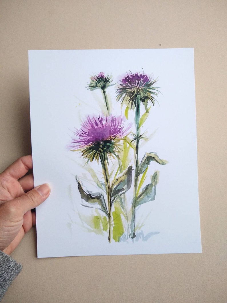 Thistle Watercolor Thistle Plant Wildflowers Art Print | Etsy