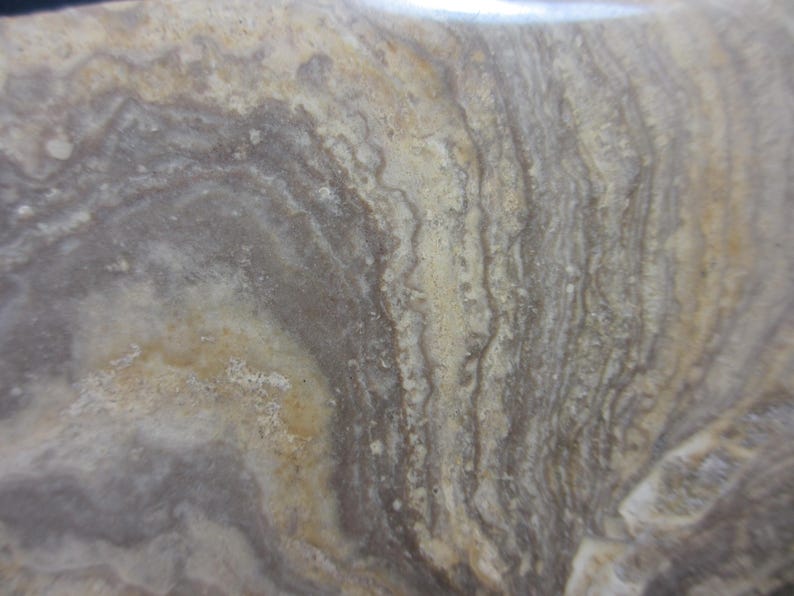 495 Million Yr Old Fossil Stromatolite, Numerous Domes,. MIRROR POLISH ...