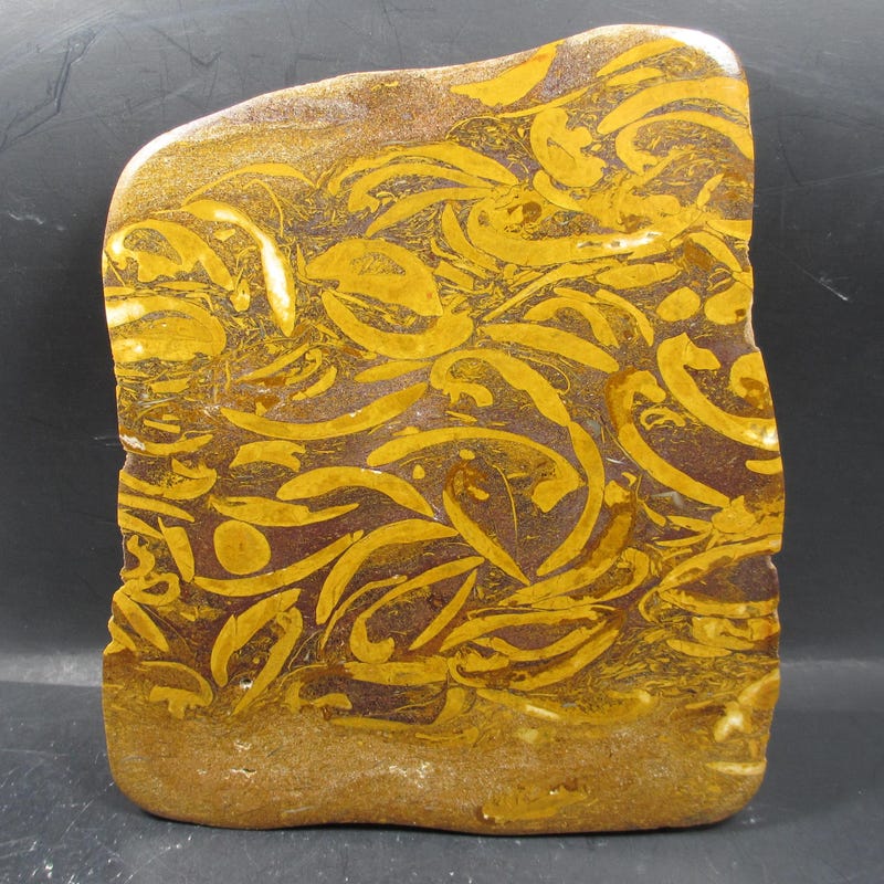 Indian Script Stone - Etsy