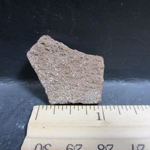 Dinosaur Egg Shell Section, Saltasaurus, Late Cretaceous, Fine ...