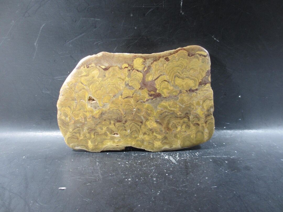 Fossil Stromatolite, New and Rare, 495 Million, "mushroom", Oneota Fm ...