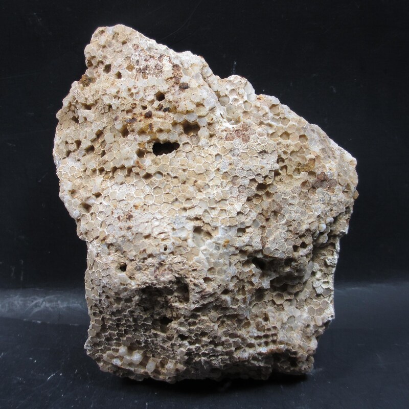 RibRiverFossils - Etsy