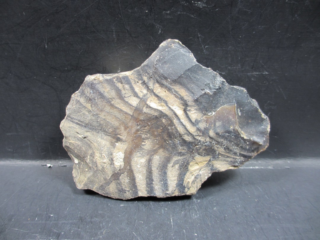 Stromatolite, Chert Replaced, Fluorescent Brilliant Orange, Ventifact ...