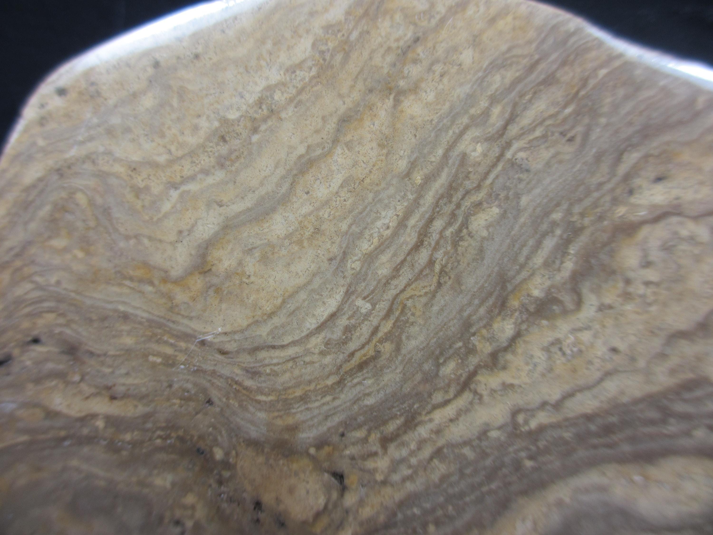 495 Million Yr Old Fossil Stromatolite, Numerous Domes,. MIRROR POLISH ...