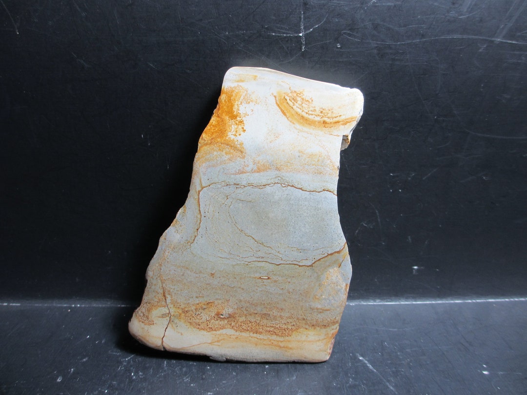 Chicken Track Picture Jasper, Microbial Bound Sediment, MIRROR POLISHED ...
