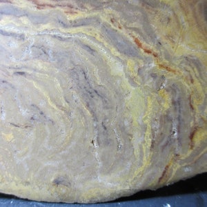 495 Million Yr Old Stromatolite Fossil, MIRROR POLISHED Oneota FM. Wi ...