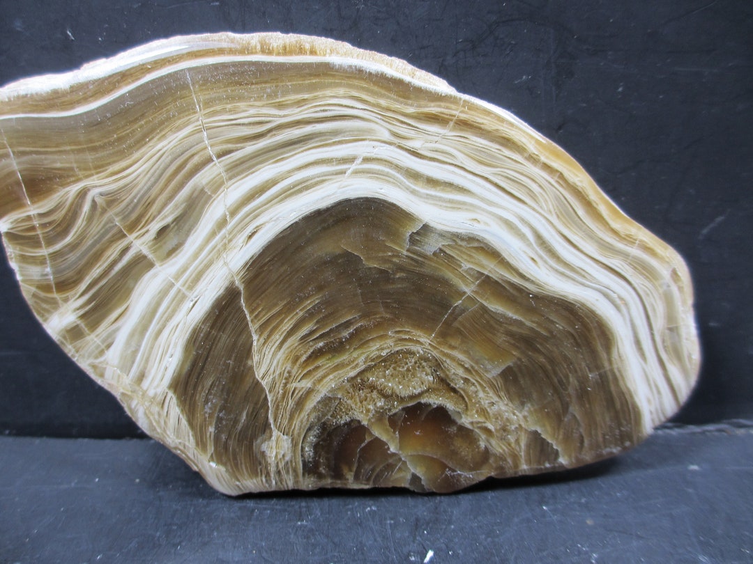 Speleothem, Cave Structures, Complex Biogenic Travertine, Mirror ...