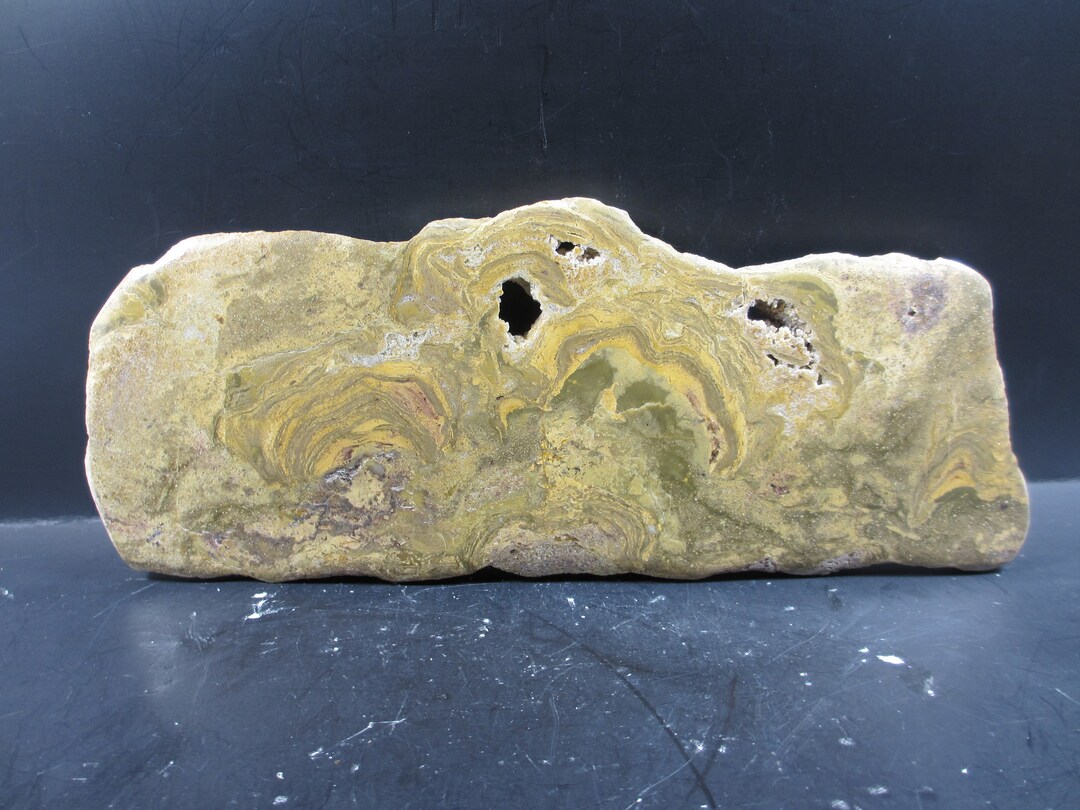 495 Million Yr Old Fossil Stromatolite, Numerous Domes,. Mirror Polish ...