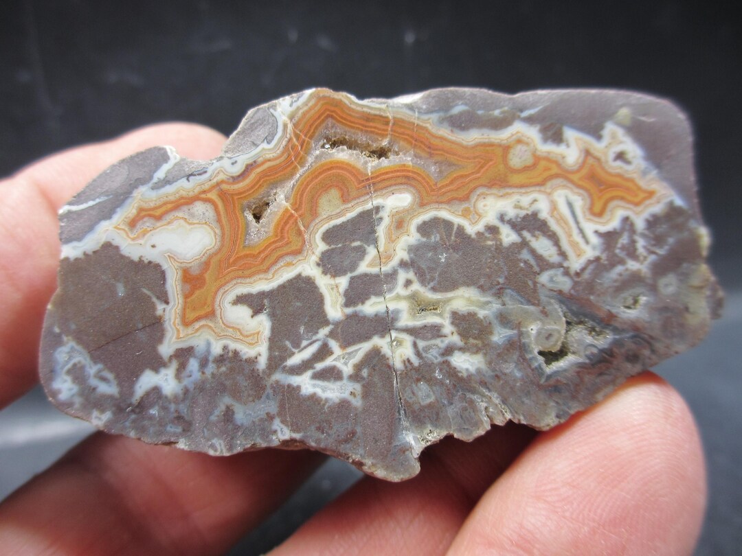 Dryhead Agate, Mirror Polished End Cut, Great Fortifications, Bighorn ...