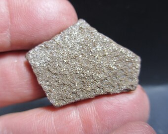 Dinosaur Egg Shell Section, Saltasaurus, Late Cretaceous, Fine ...