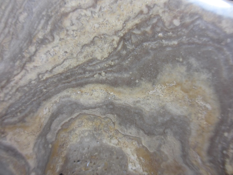 495 Million Yr Old Fossil Stromatolite, Numerous Domes,. MIRROR POLISH ...
