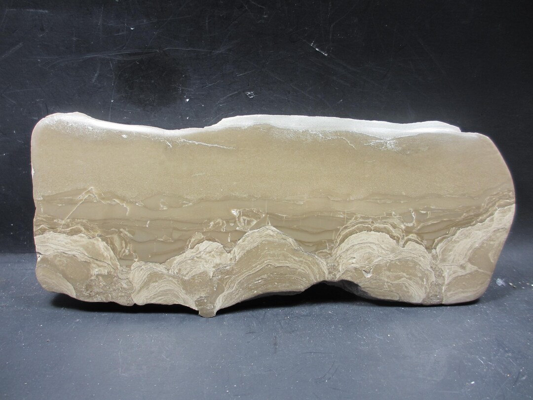 Rare Stromatolite, Rolling Colonies or Hills, L. Ord., MIRROR POLISHED ...