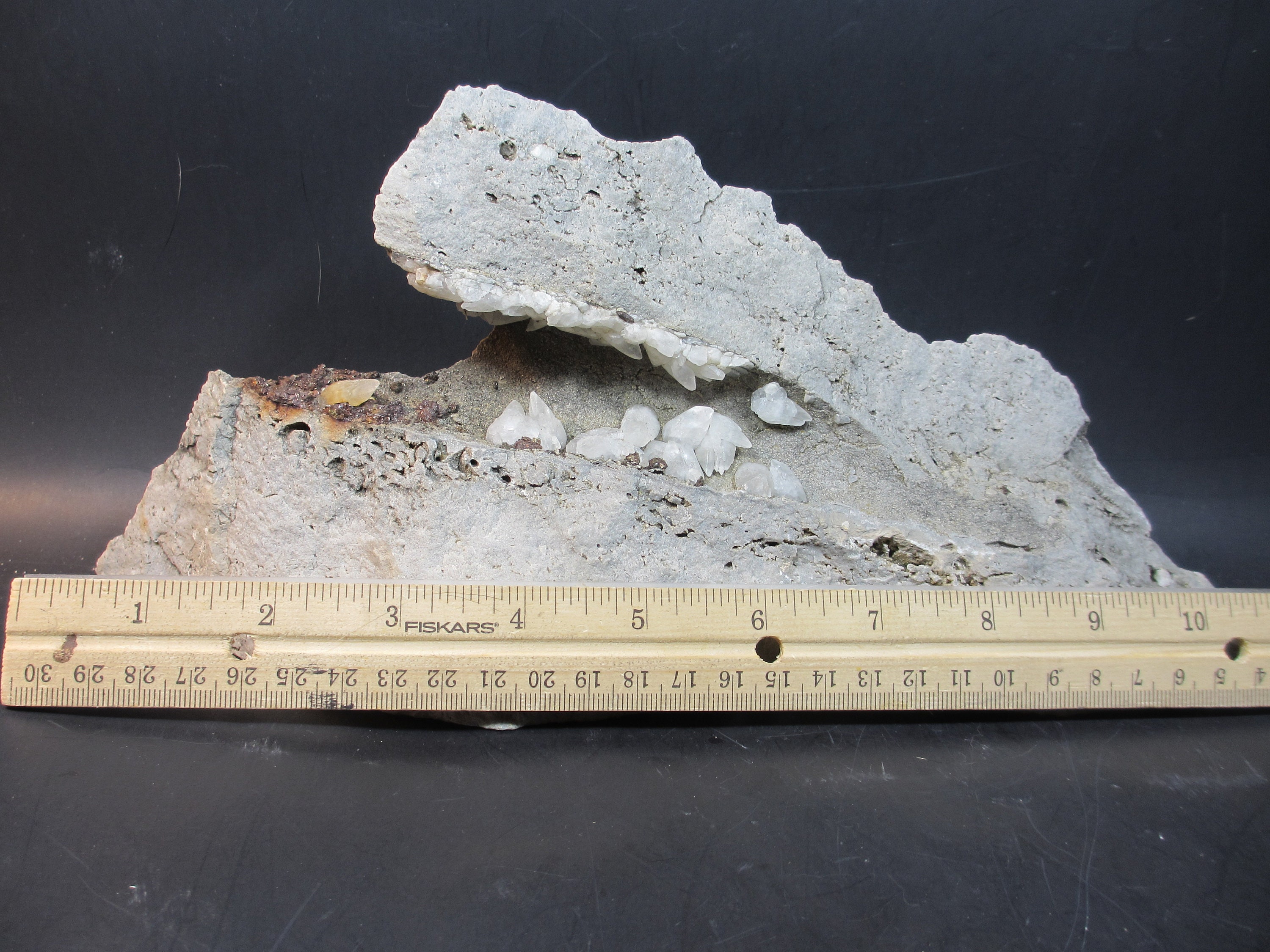 Fossil Cephalopod Dog Tooth Calcite Crytals in Ceph Cavity - Etsy