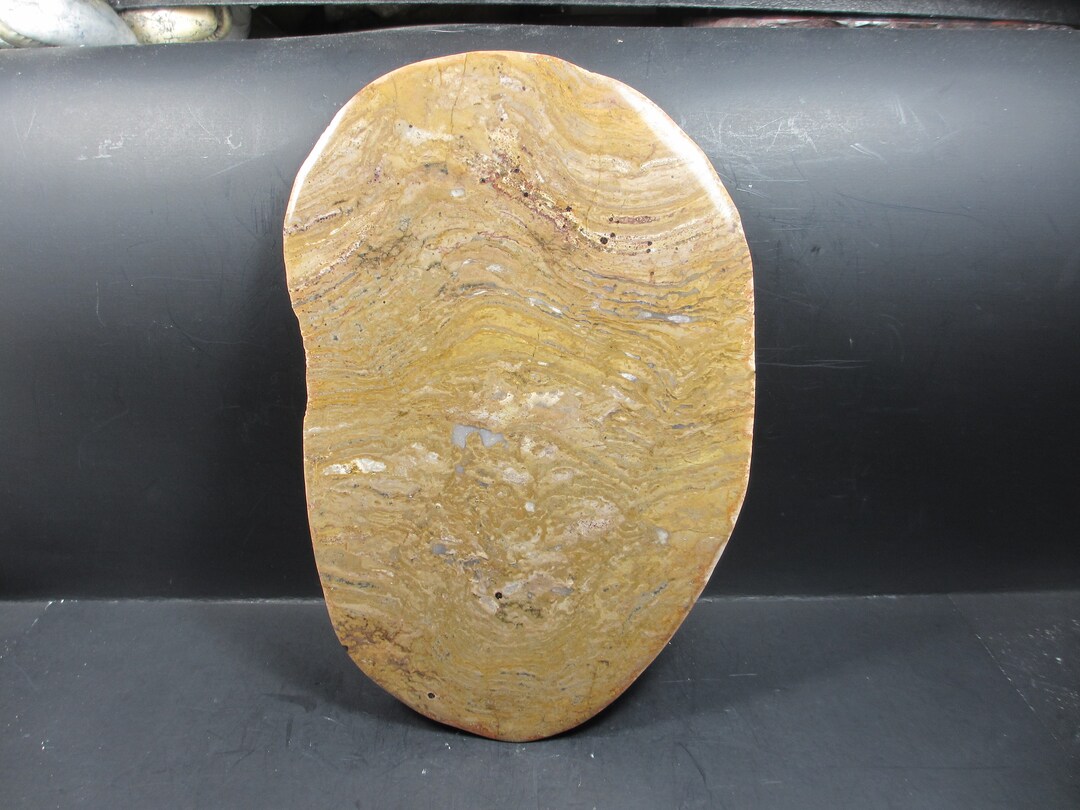 Stromatolite, Large Mirror Polished Slice, Rare Pseudo Columnar ...
