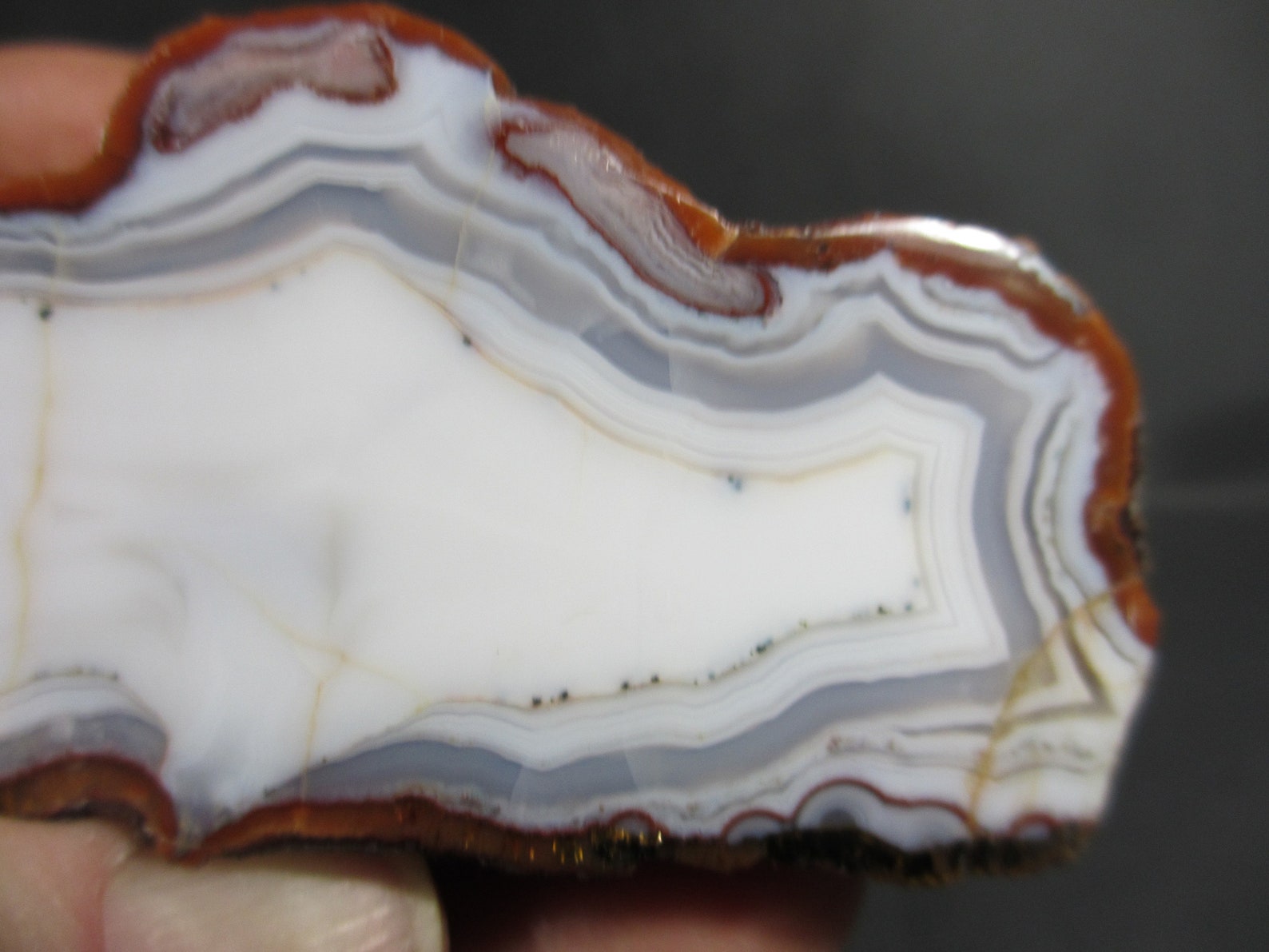 Berber Seam Fortificaton Agate Mirror Polish Sidi Rahal | Etsy