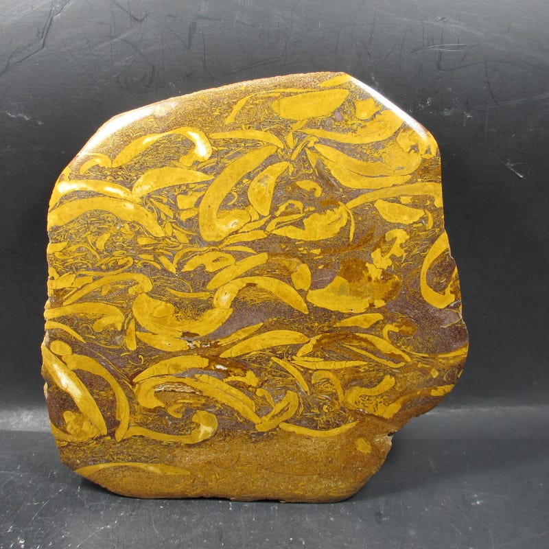 Indian Script Stone - Etsy