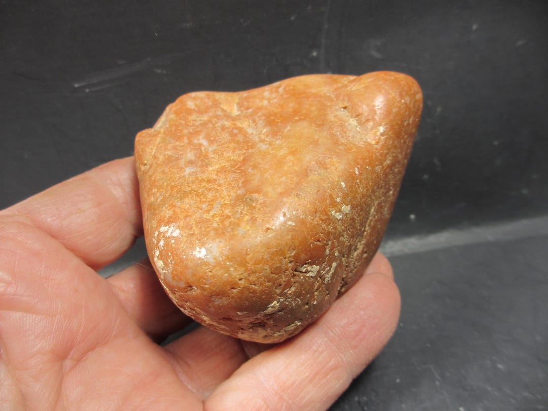 Dinosaur Gastrolith, Stomach Stone, Self Collected, Jurassic, Morrison ...