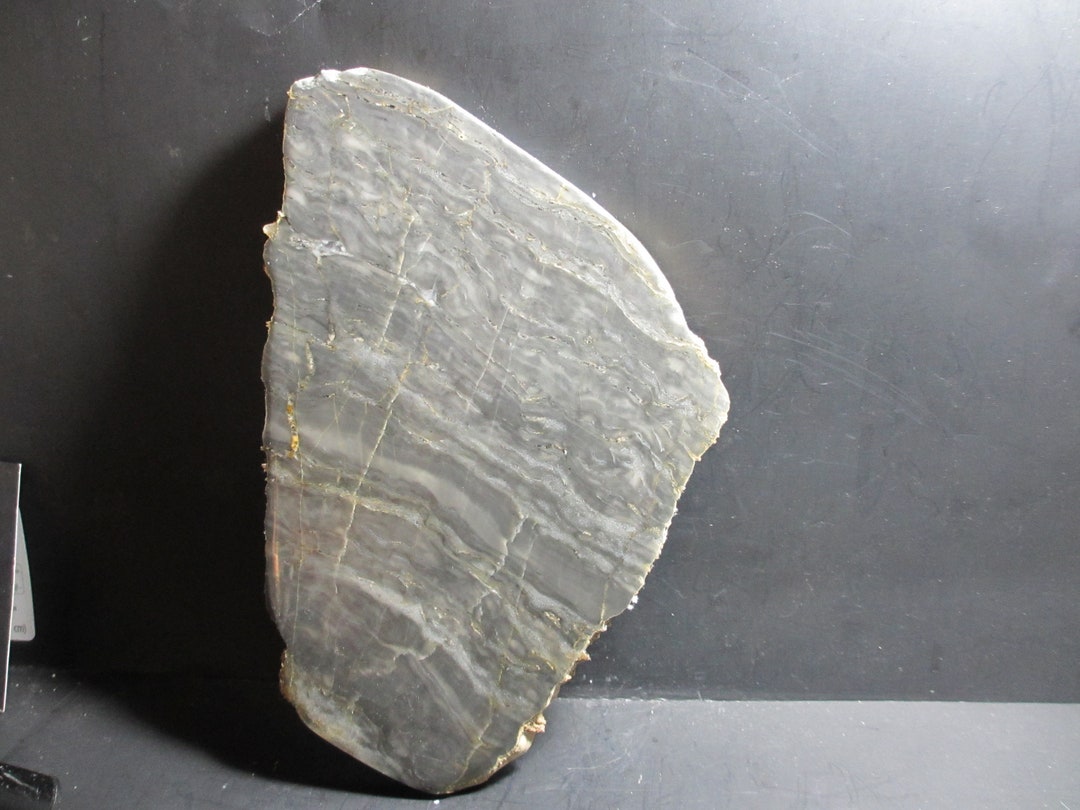Stromatolite, Extremely Rare, Laminar Microbialite, Mirror Polished 1.2 ...