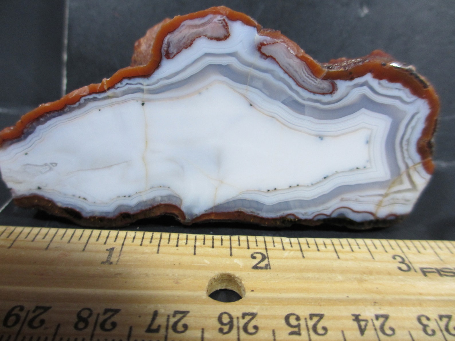 Berber Seam Fortificaton Agate Mirror Polish Sidi Rahal | Etsy