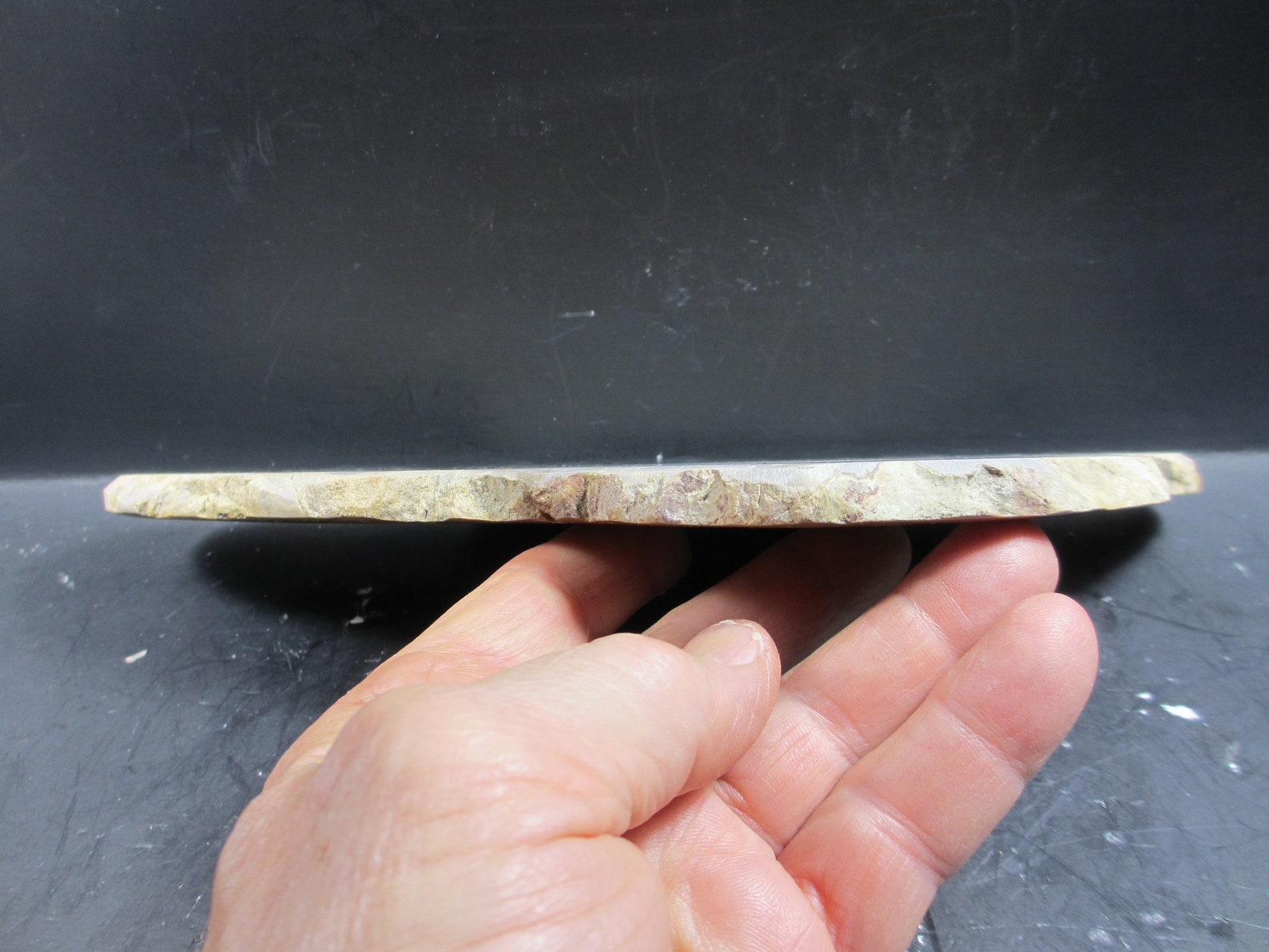 495 Million Yr Old Stromatolite Fossil, MIRROR POLISHED Oneota FM. Wi ...