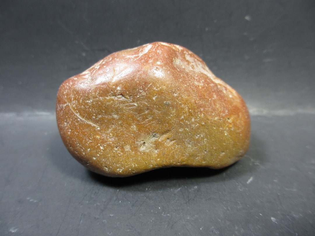 Dinosaur Gastrolith Stomach Stone Self Collected Jurassic - Etsy