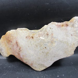 Extremely Rare Fossil Moss Preserved in Flowstone, Middle Miocene ...