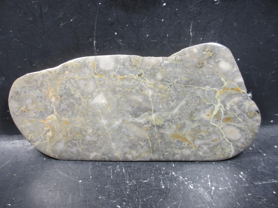 Fossil Archaeocyathids, MIRROR POLISH, Lower Cambrian, Cambrian ...
