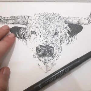 Dotwork Print of Cow Ofian the Bull of the White Park Cattle - Etsy